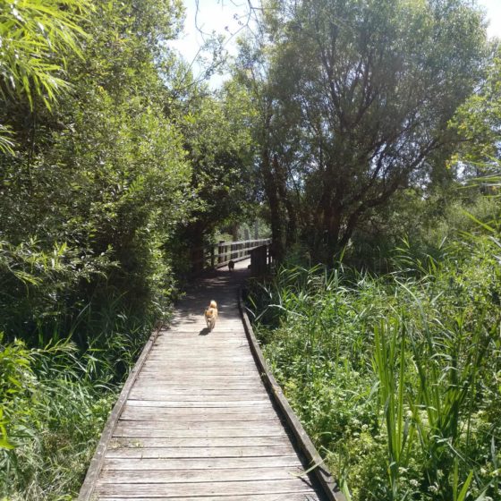 On a testé Rando'Nu - Le sentier naturiste derrière le Lac du Héron