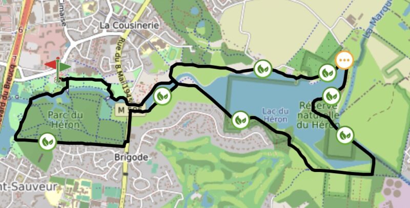 5 balades incontournables à faire à Lille et ses alentours